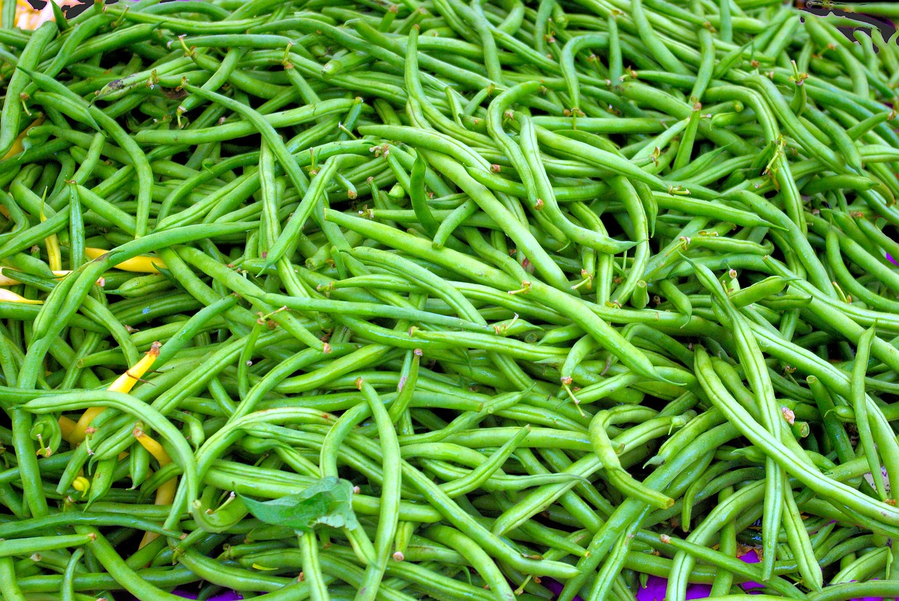 Split Chicken Breast with Sweet Potatoes and Green Beans - The Mechanic ...