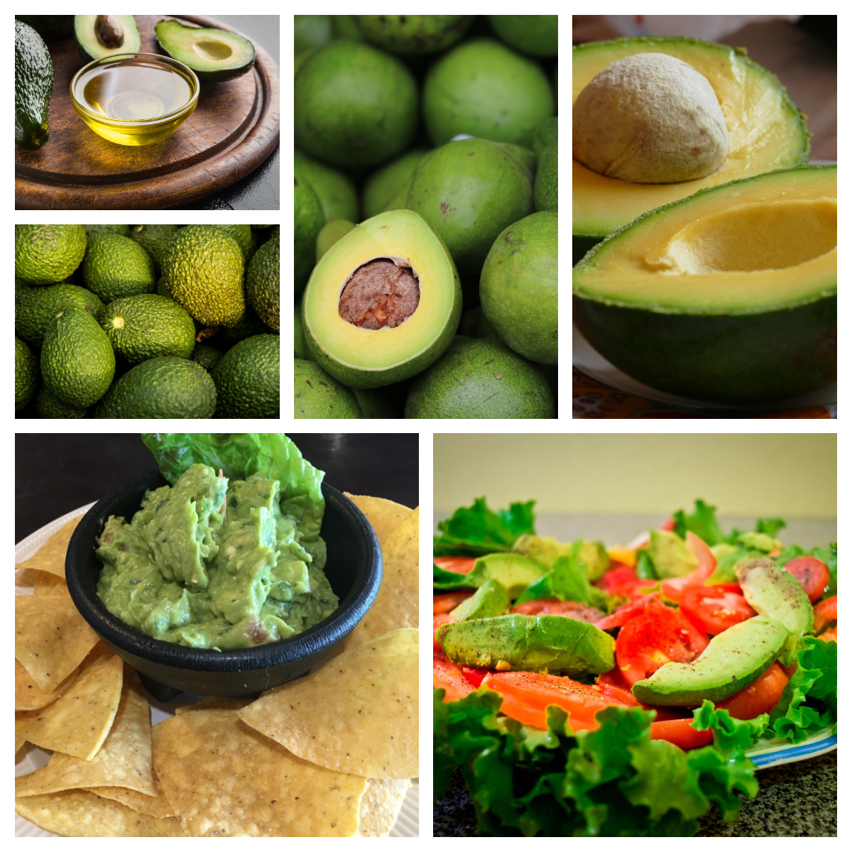 Avocados - The Mechanic Cooks